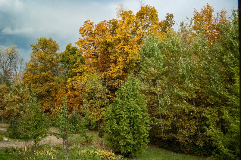 Fall Storm stock photo. Image of nature, trees, leaves - 100421960