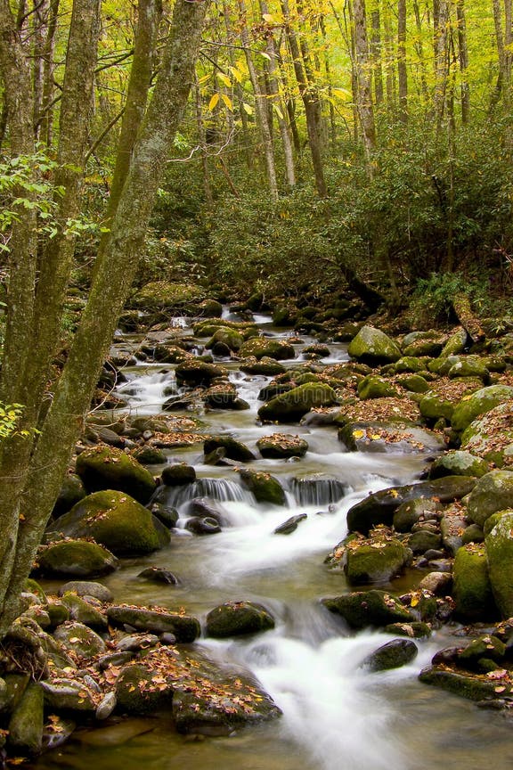 Fall Stream stock image. Image of mountains, fall, park - 138713