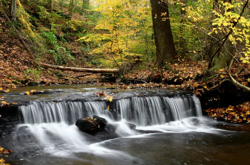 Fall Stream stock photo. Image of autumn, soft, creek - 1407782