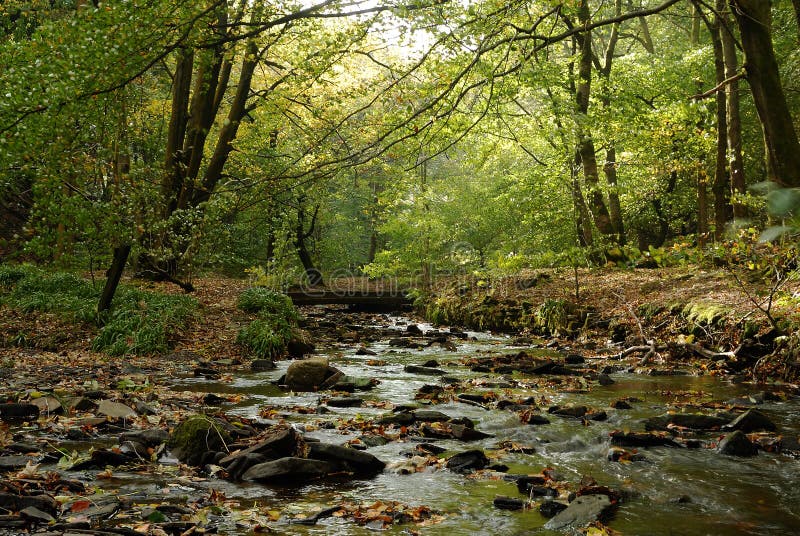 A Fall Stream Picture. Image: 16411810