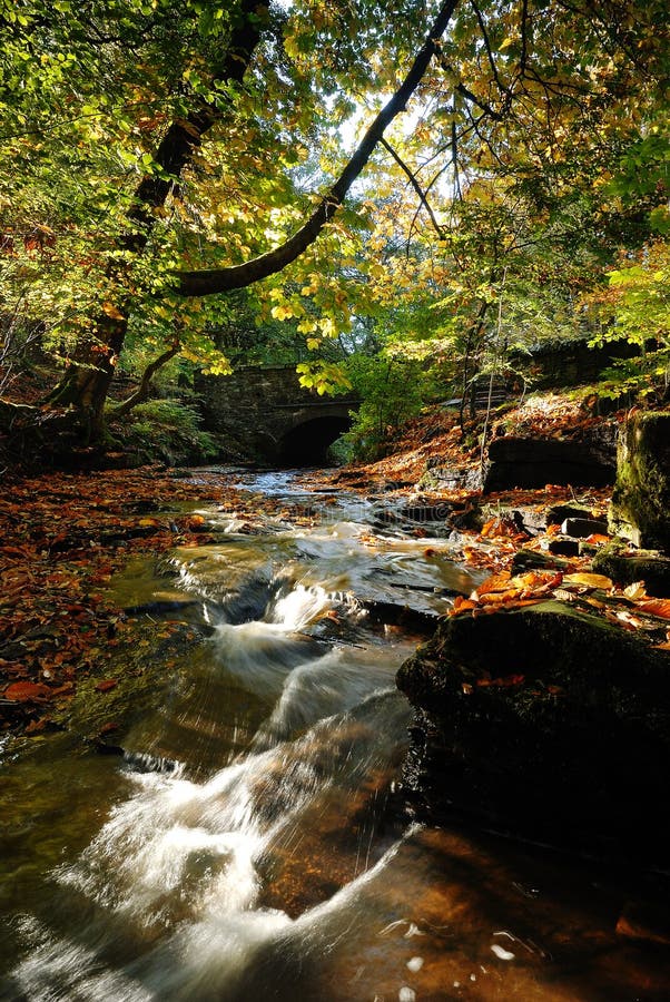 Fall Stream stock image. Image of mountains, fall, park - 138713