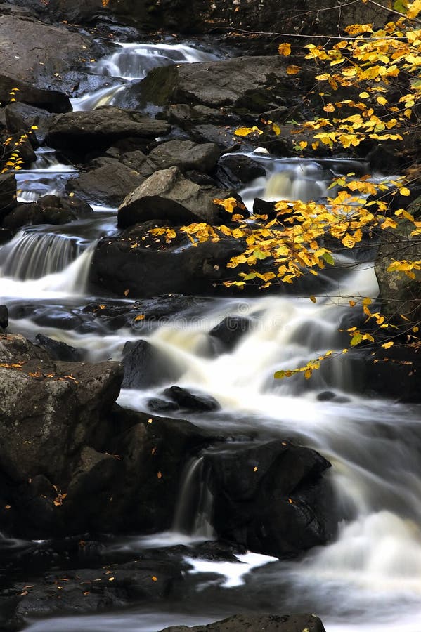 Fall Stream Picture. Image: 2025293