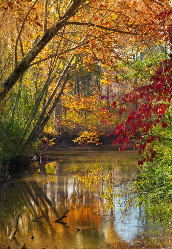 Fall Stream stock image. Image of trunk, color, scene - 26411389