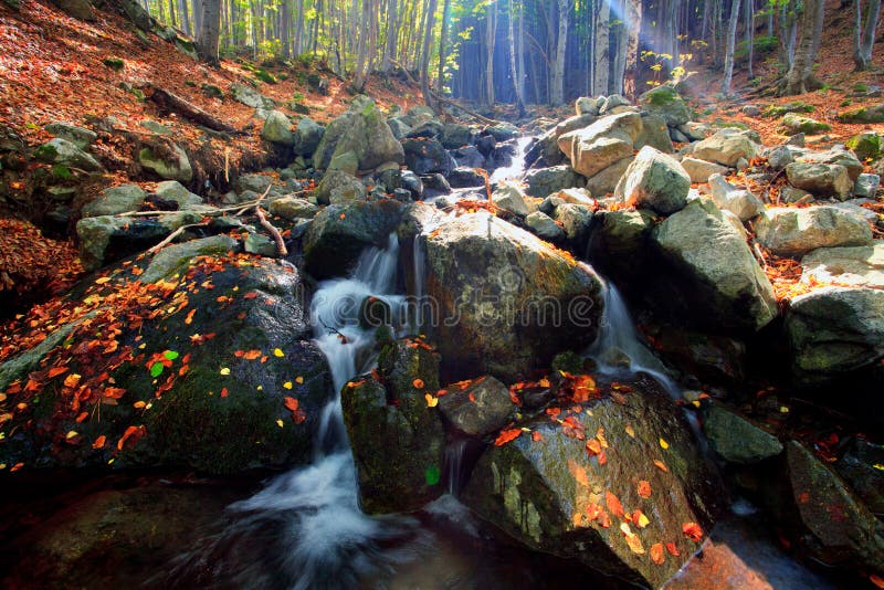 Fall stream stock image. Image of ascent, rock, plant - 27010255