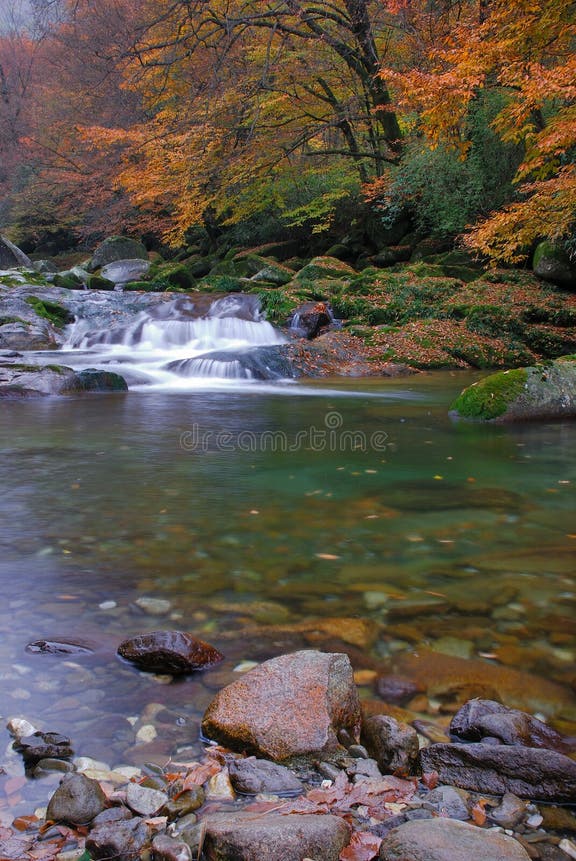 In the fall of the stream stock photo. Image of mature - 6716584