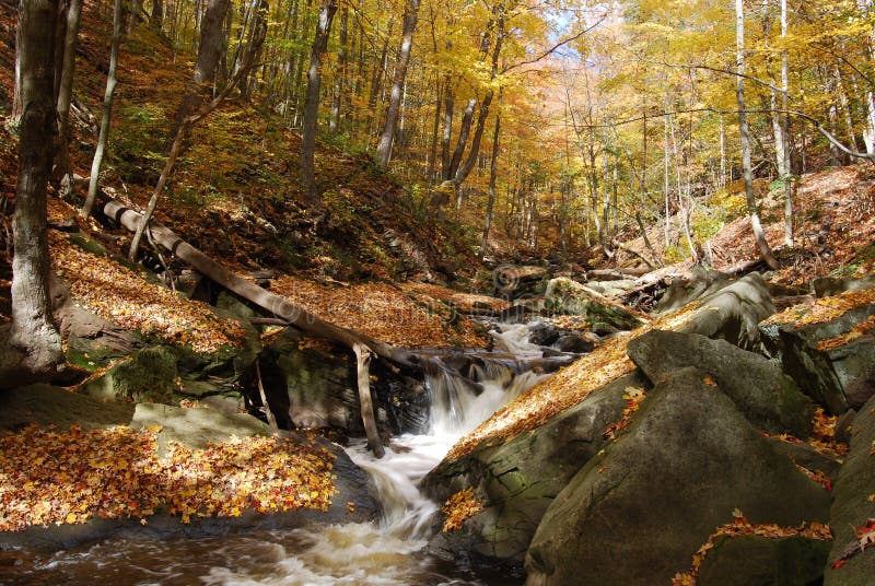 Fall Stream stock image. Image of clean, nature, escarpment - 6768289