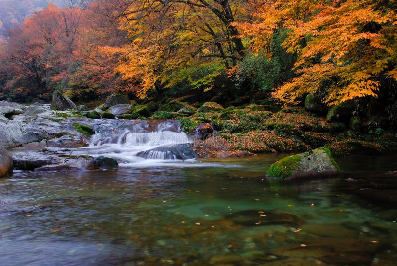 In the fall of the stream stock image. Image of cover - 7041649