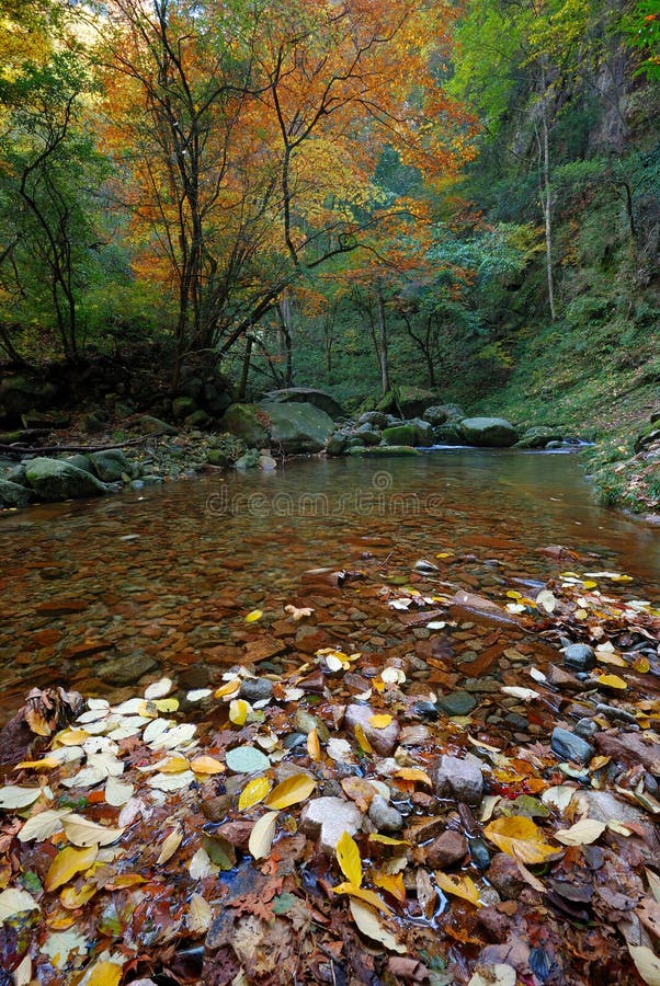 In the fall of the stream stock image. Image of cover - 7041649