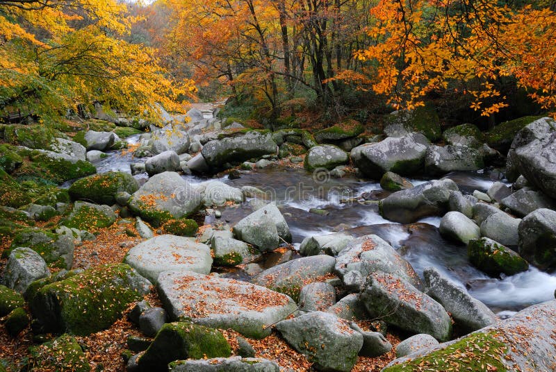 In the fall of the stream stock image. Image of cover - 7041649