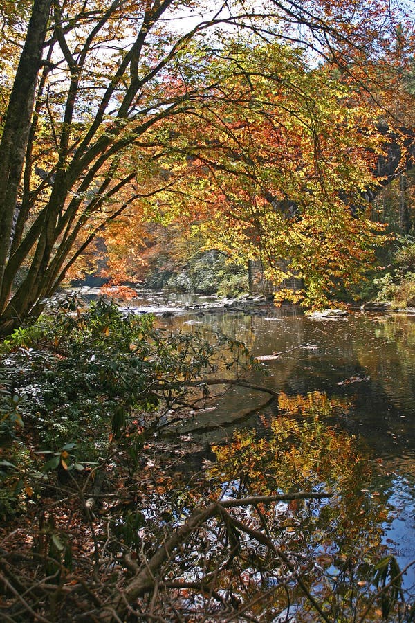 Fall Stream stock image. Image of leaves, seasons, autumn - 79340669