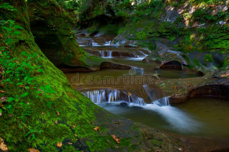 Fall Stream stock photo. Image of park, nature, river - 60444736