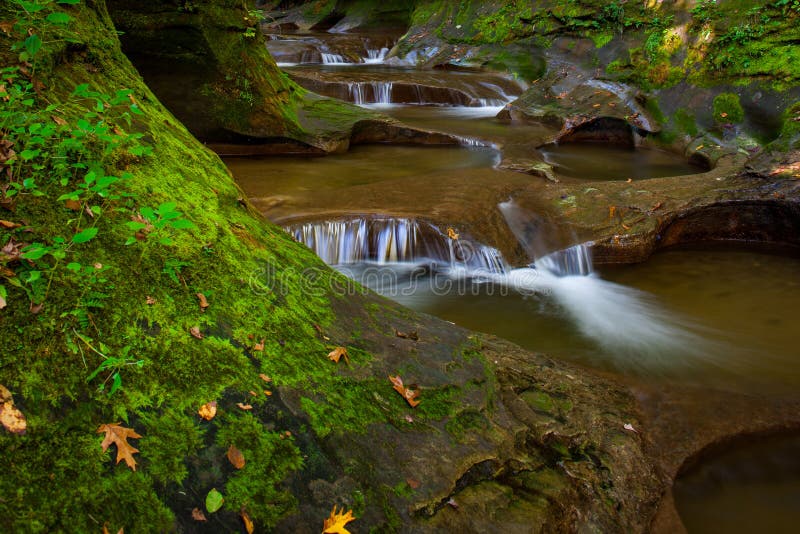 Fall Stream stock image. Image of area, foliage, autumn - 60451567