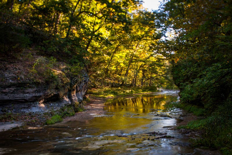 Fall Stream stock image. Image of mountains, fall, park - 138713