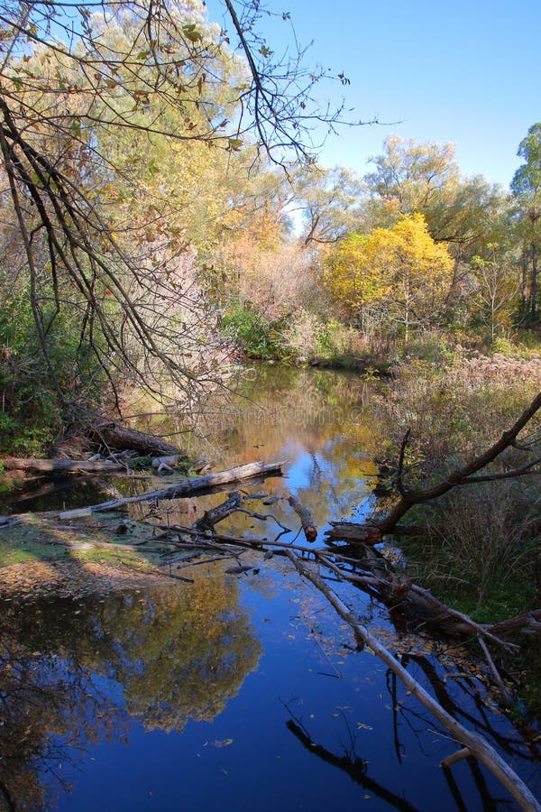 Pond Toogood Stock Photos - Free & Royalty-Free Stock Photos from ...