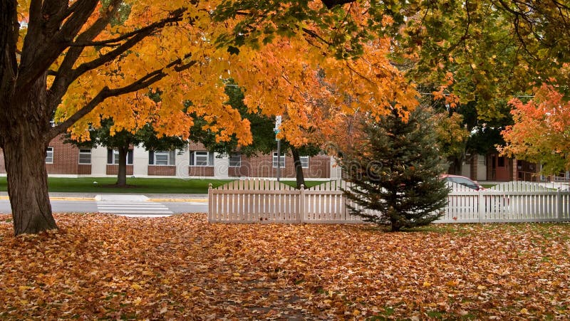 Fall street scene stock image. Image of colors, building - 12310237