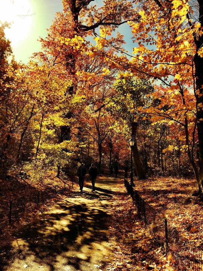 Central Park editorial image. Image of autumn, central - 102816945