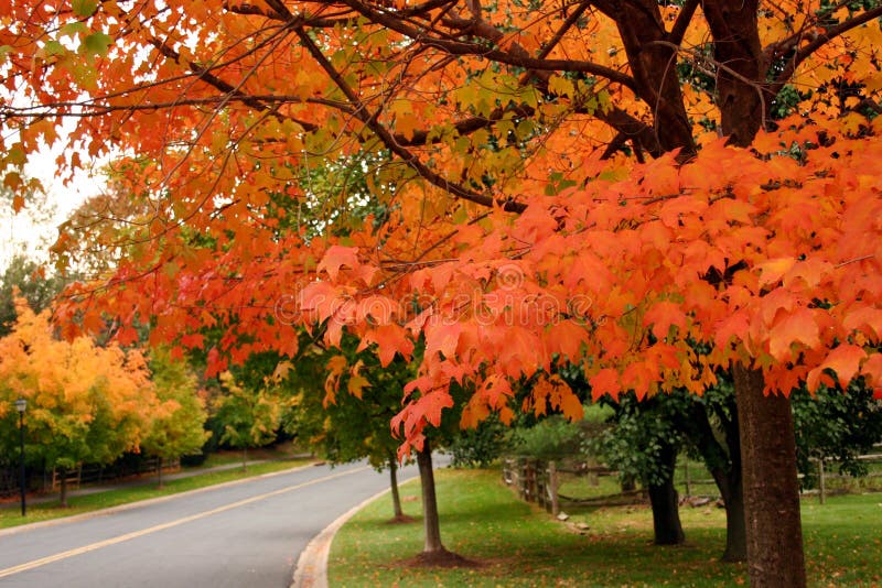 Fall in the suburb stock image. Image of neighborhood - 18958967