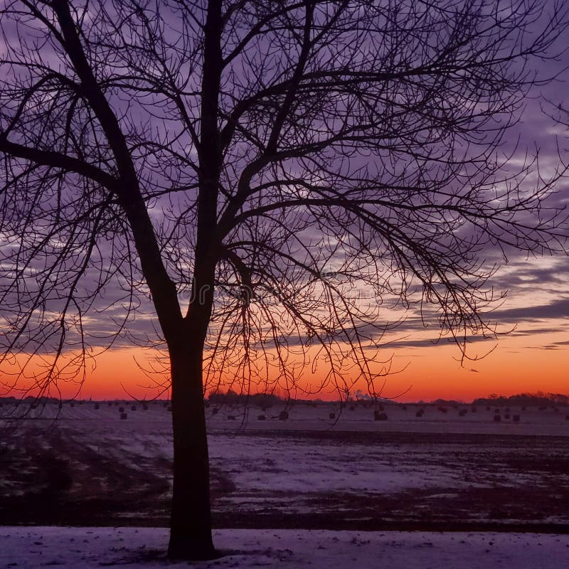 Fall sunrise on the farm stock photo. Image of leaf - 202190970