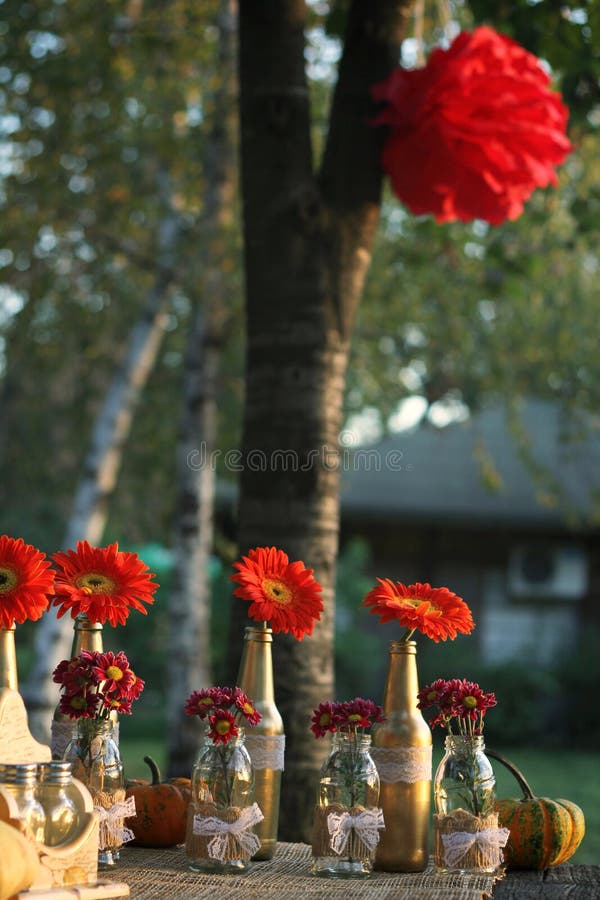 Fall and Table Decorations in Nature Stock Image - Image of party ...