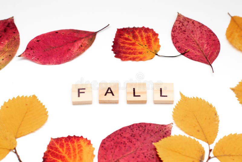 FALL Text Made from Wooden Blocks with Leaves. Autumn Backdrop Stock ...