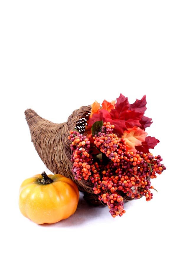 Fall - Thanksgiving Decorations Stock Image - Image of autumn, cold: 225413