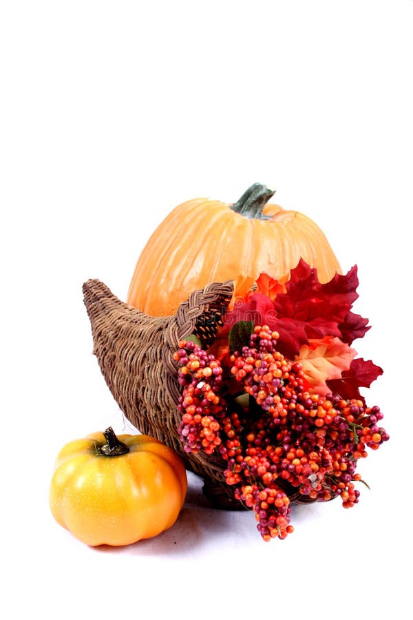 Fall - Thanksgiving Decorations Stock Image - Image of autumn, cold: 225449