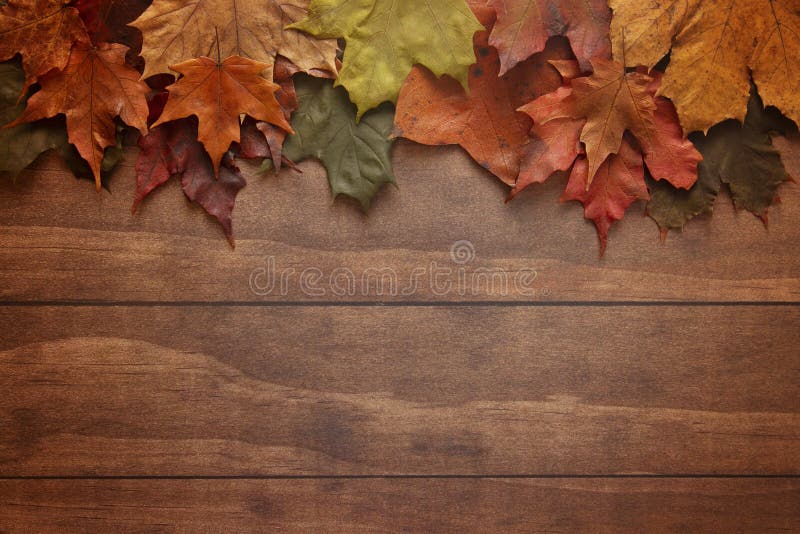Fall Themed Background on a Wooden Surface Stock Photo - Image of ...