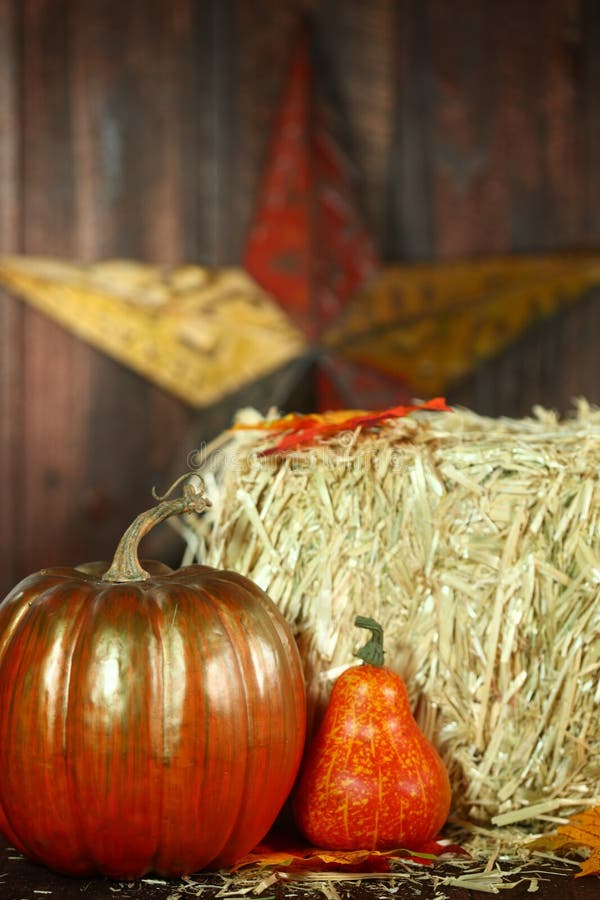Fall Themed Scene with Pumpkins on Wood Stock Photo - Image of ...