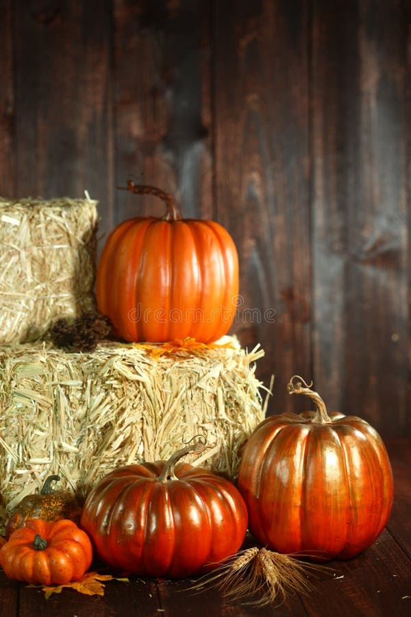 Fall Themed Scene with Pumpkins on Wood Stock Photo - Image of ...
