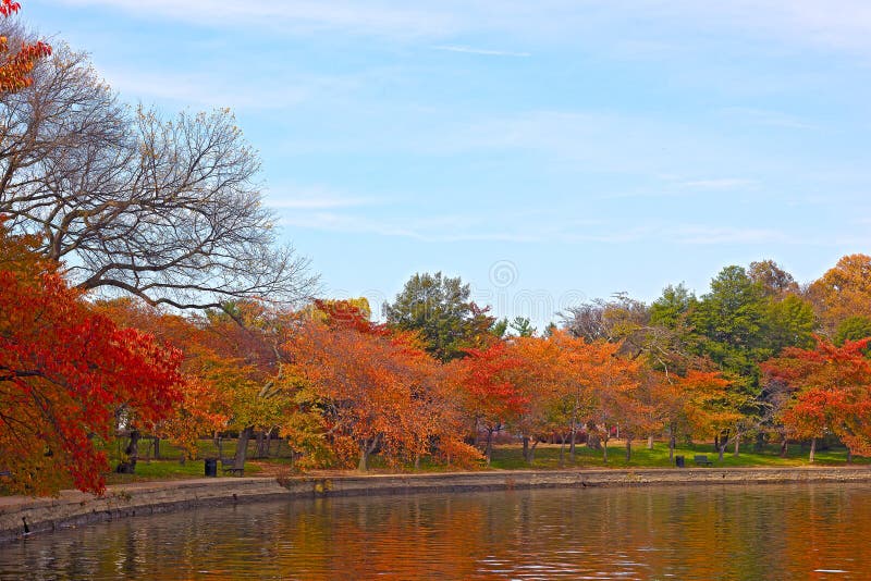 Fall at Tidal Basin, Washington DC. Stock Image - Image of tranquil ...