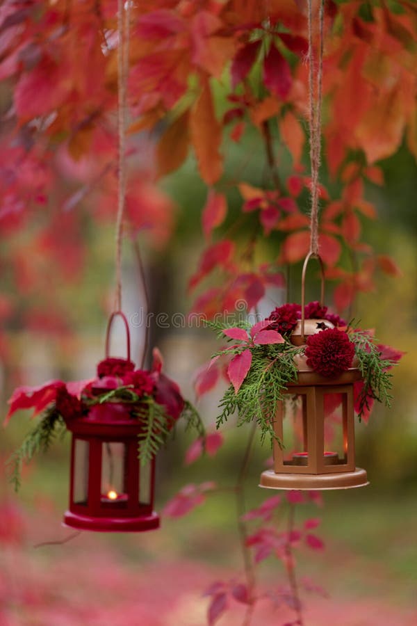 Fall Time. Autumn Decoration Stock Image - Image of grapes, celebration ...