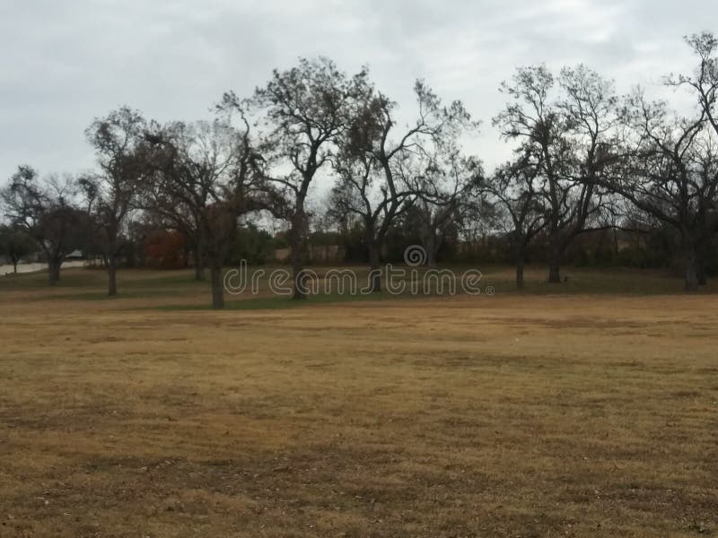 Fall Time Breeze and Fal Trees Stock Image - Image of breeze, fall ...