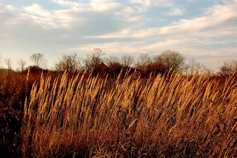 Fall Time, Fields, Rural Landscape Stock Photo - Image of city, idyllic ...