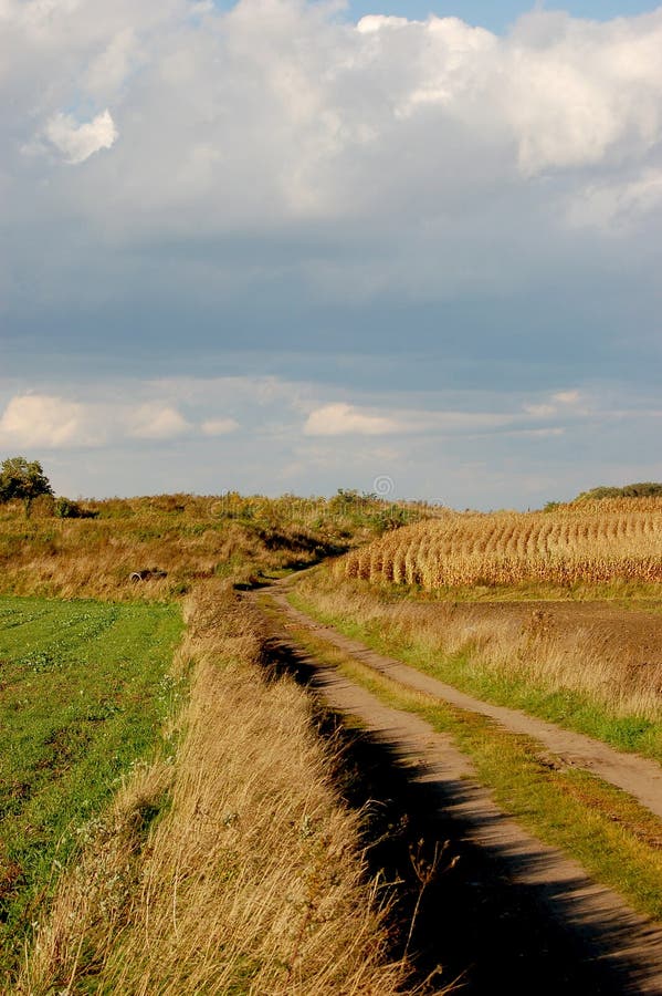 Fall Time, Fields, Rural Landscape Stock Image - Image of spring ...