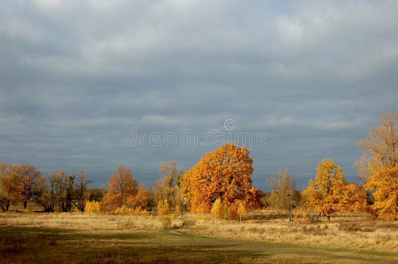 Fall Time, Fields, Rural Landscape Stock Photo - Image of gorgeous ...