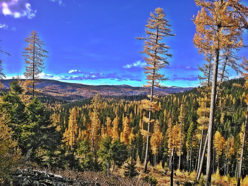 920 Fall Montana Scenery Stock Photos - Free & Royalty-Free Stock ...