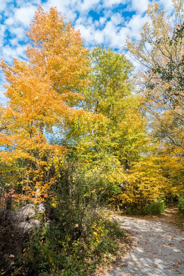 Fall time in park stock photo. Image of trees, backcountry - 316190212
