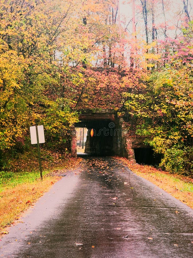 Fall time rain stock image. Image of relaxing, time - 162493553