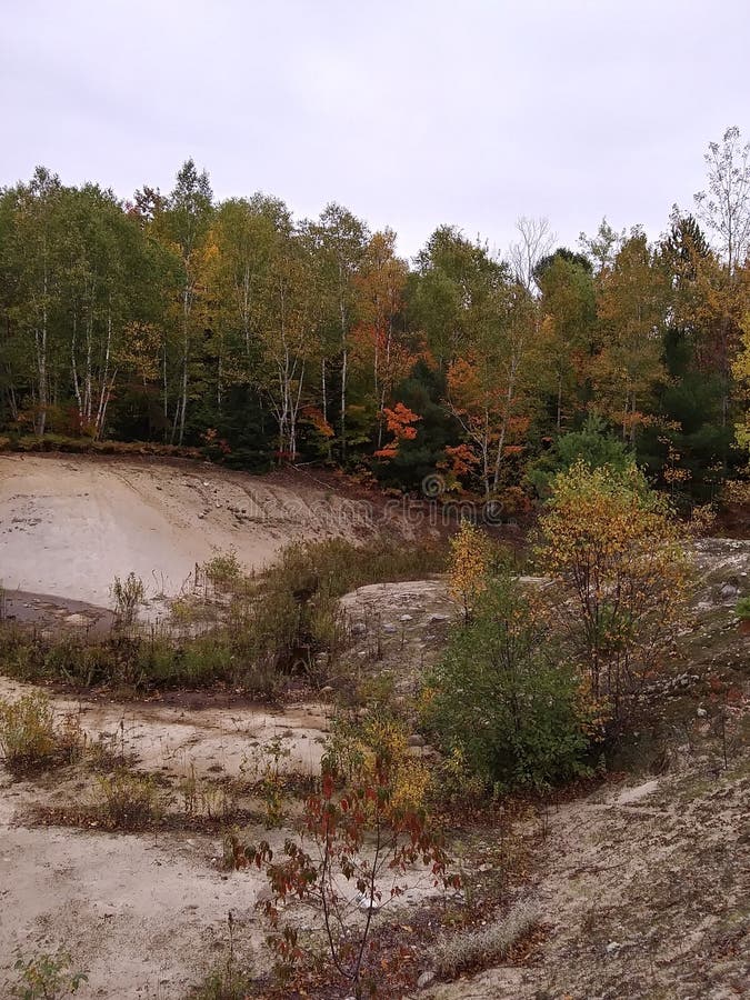 Fall time in the sand pit stock photo. Image of trees - 160147600