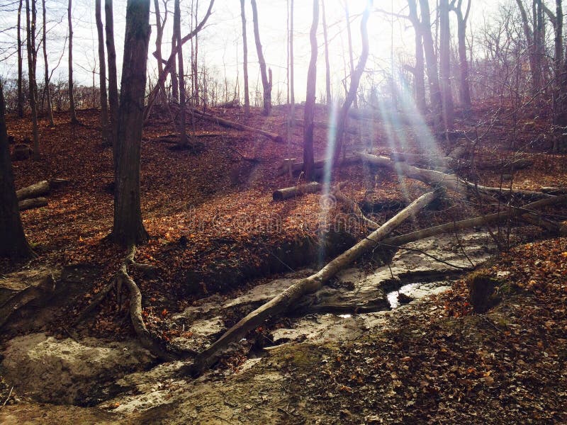 Fall Time Sunshine Nature Hill Stock Photo - Image of fall, scenery ...