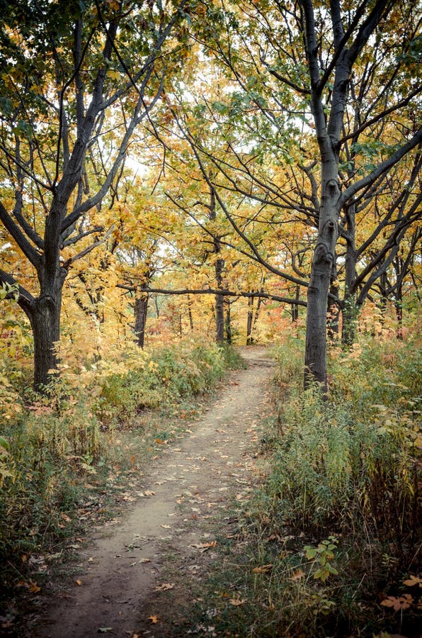 Fall Trail stock image. Image of fall, color, changing - 27024575