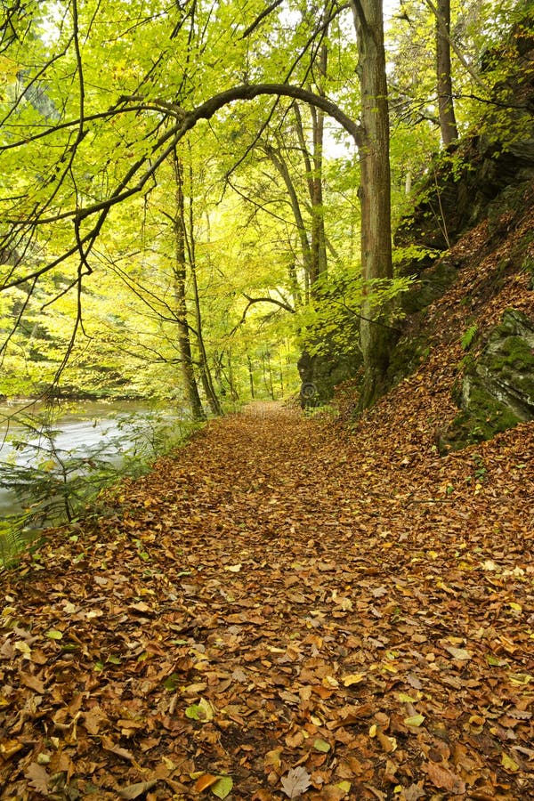 Fall Trail Along River Banks Stock Image - Image of forest, foliage ...