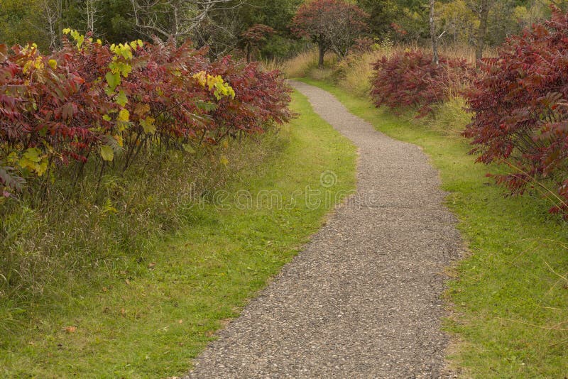 Fall Trail Scenic stock photo. Image of hiking, minnesota - 62844752