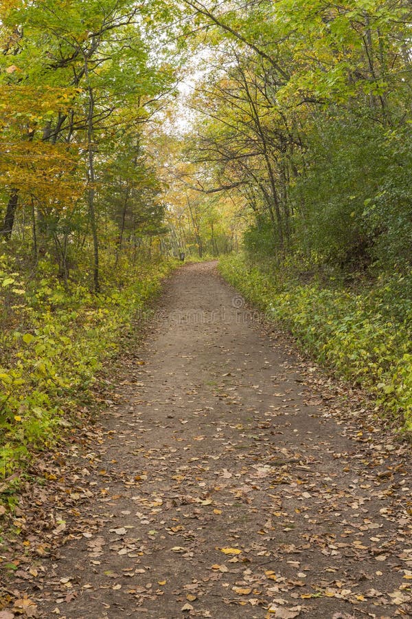 Fall Trail Scenic stock image. Image of hike, outdoors - 62863299