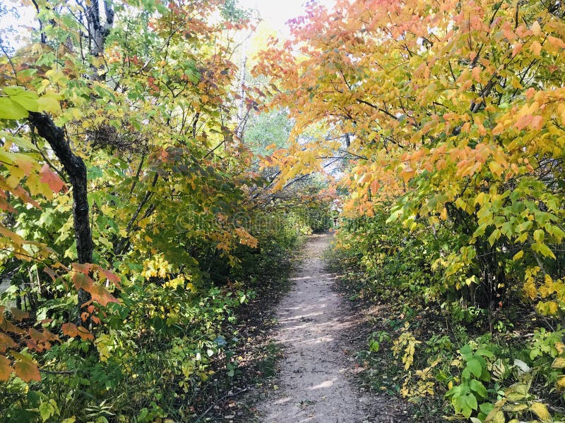 Fall trail walk stock photo. Image of walking, foliage - 203625194