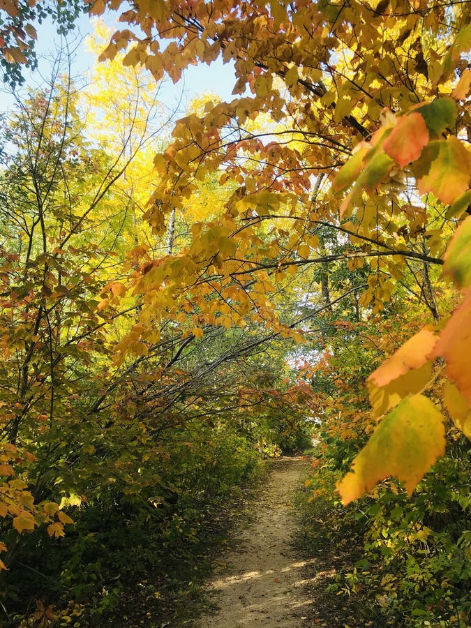 Fall trail walk stock image. Image of walk, fall, walking - 203624973