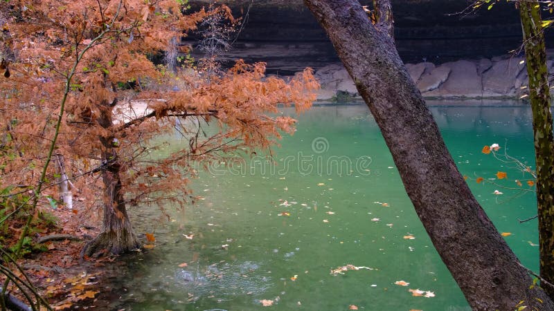 Fall Tranquil Scene with Falling Leaves into Water at Hamilton Pool in ...