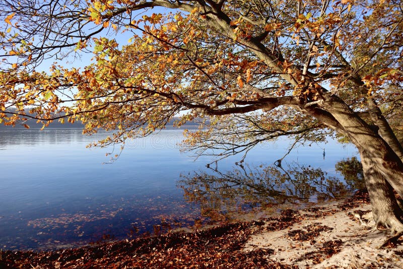 Lake in Denmark in the Fall Stock Photo - Image of fall, lake: 327223194