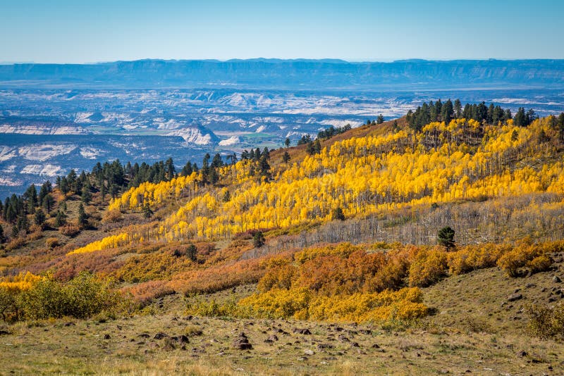 Fall tree landscapes stock image. Image of autumn, payson - 61036429
