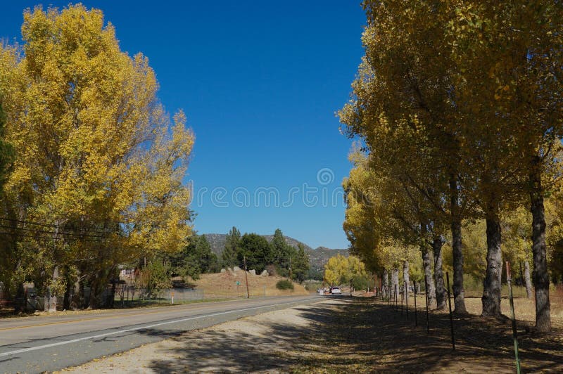 Fall Tree-Lined Highway stock image. Image of calfornia - 164070489